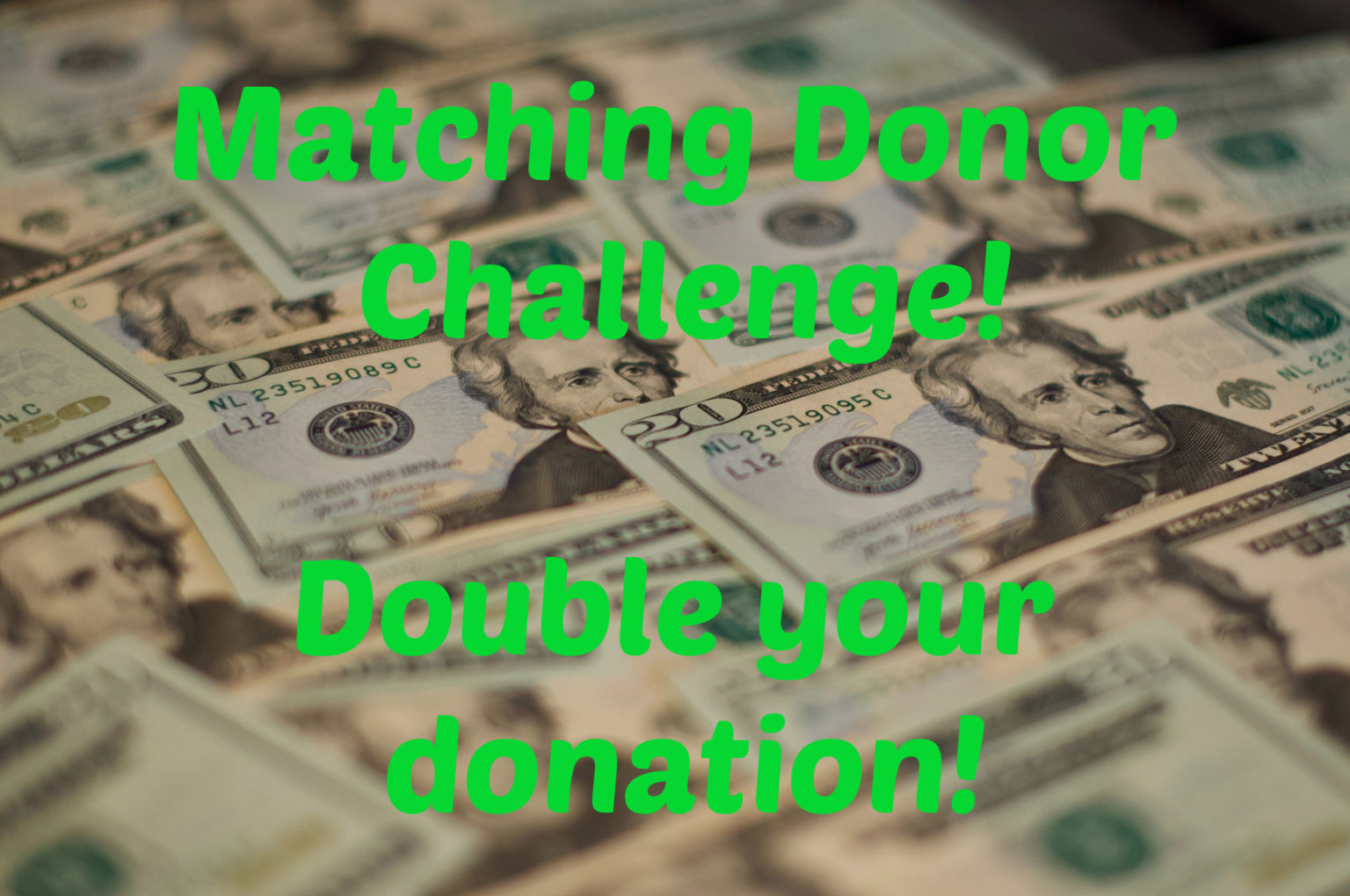 $5,000 Matching Donor Challenge! – A Reason to Believe Animal Rescue, Inc.